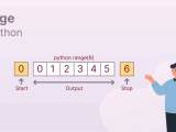 5 For Loop Workbook Intro Python