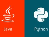 Python Vs Java The Future Of Programming Tcdc