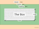 The Beginner S Guide To Css Box Model