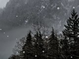 Create Pure Css Snowfall Effect For Christmas 2019 Edition