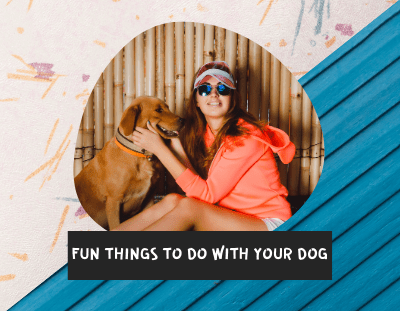 5 Fun things to do with your dog at Home - Creative and Budget friendly!