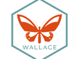 Wallace