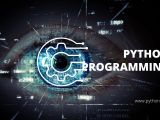Python Programming Wallpapers 4k Hd Backgrounds On Wallpaperbat