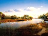 Wildlife Desktop Backgrounds Wallpaper Cave