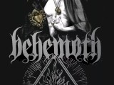 Behemoth Band Wallpapers Wallpaper Cave