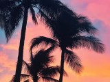 Sunset Wallpapers Wallpaper Cave