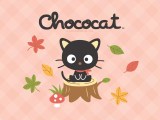 Chococat Wallpapers Wallpaper Cave
