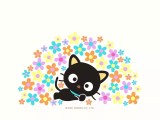 Chococat Wallpapers Wallpaper Cave