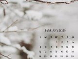 2025 Winter Wallpapers Wallpaper Cave