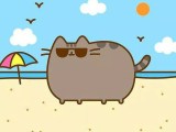 Kawaii Cat Summer Wallpapers Wallpaper Cave