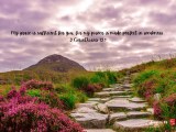 Bible Verse Landscape Wallpapers Wallpaper Cave