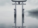 White Torii Gate Wallpapers Wallpaper Cave