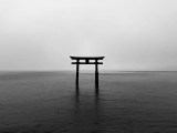 White Torii Gate Wallpapers Wallpaper Cave