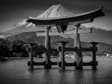 White Torii Gate Wallpapers Wallpaper Cave