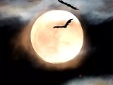 Horror Sky Wallpapers Wallpaper Cave