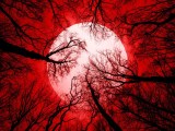 Horror Sky Wallpapers Wallpaper Cave