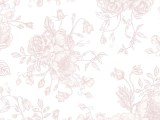 Pretty Pink And White Patterns Wallpapers Wallpaper Cave