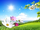 Nature Spring Season Wallpapers Wallpaper Cave