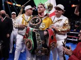 Canelo 4k Wallpapers Wallpaper Cave