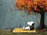 Pc Autumn Snoopy Wallpapers Wallpaper Cave