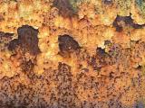 Rust Wallpapers Wallpaper Cave