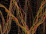 Texture Pattern Programming Processing2 Wallpapers Hd Desktop And