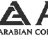Wan Buffer Services