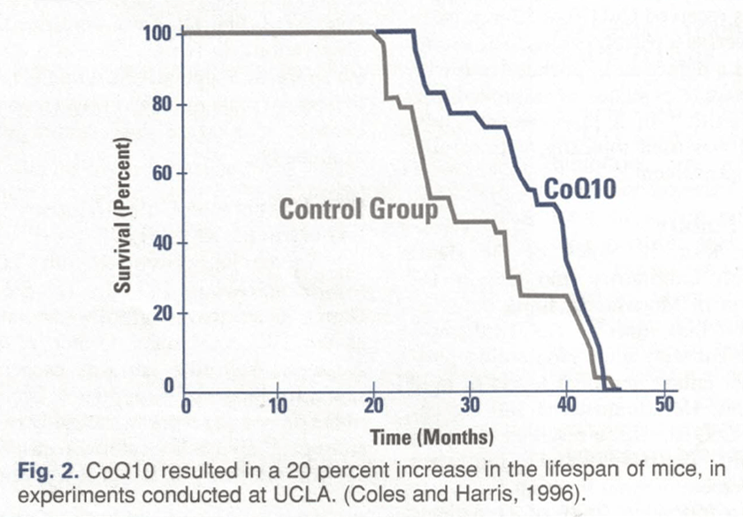 Coenzyme Q10 Plays Many Roles As Anti-Aging Nutrient | Nutrition Review
