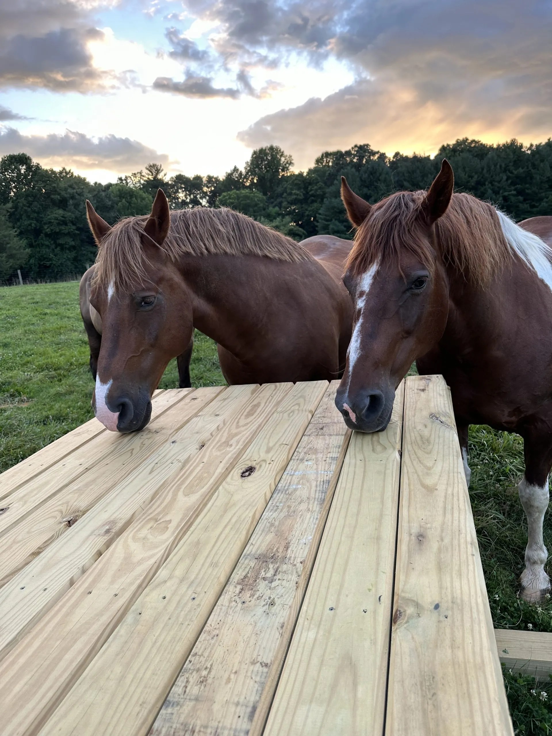 Home page - Waredaca