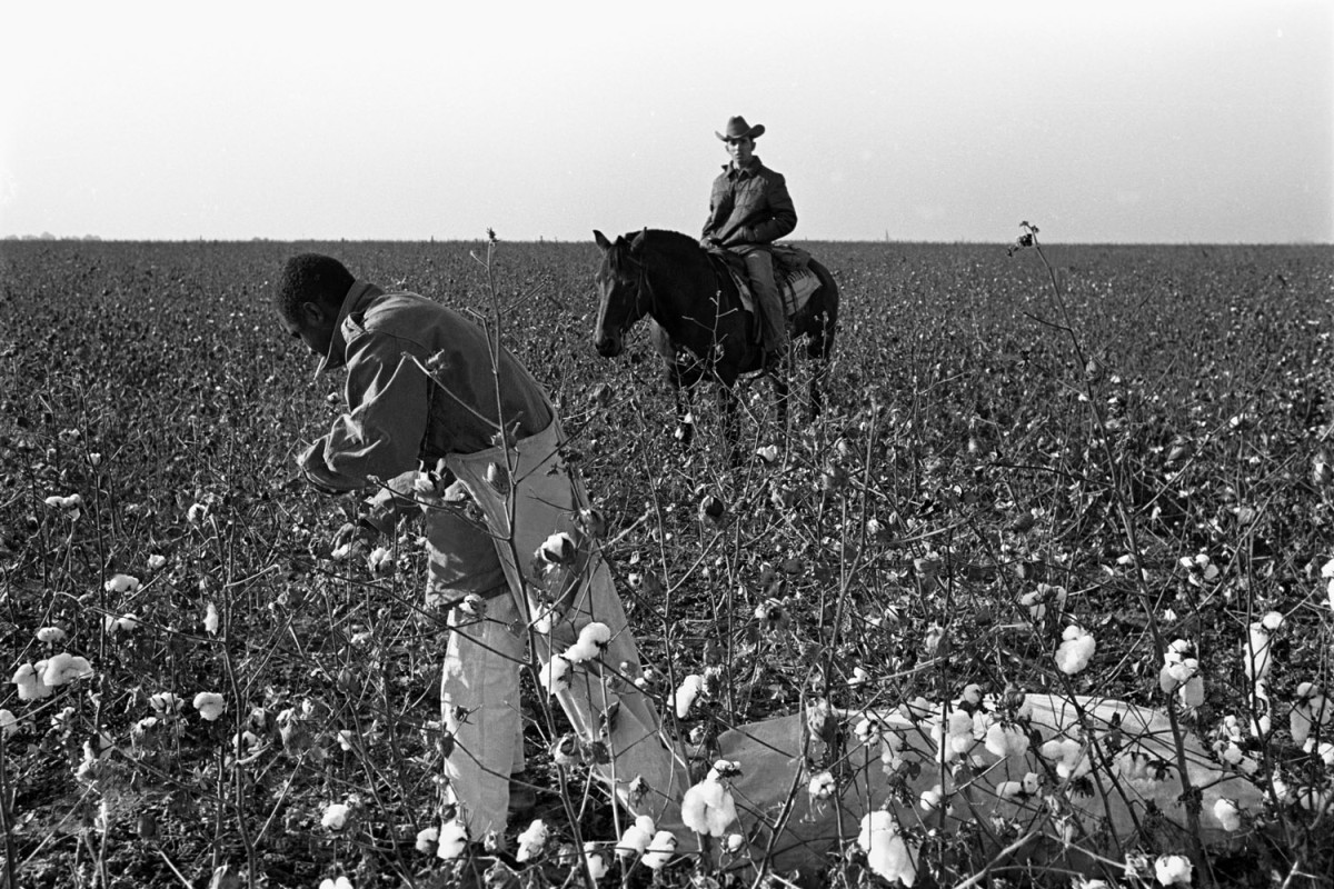 The War Over the 13th Amendment and Modern Day Slavery | Washington Monthly