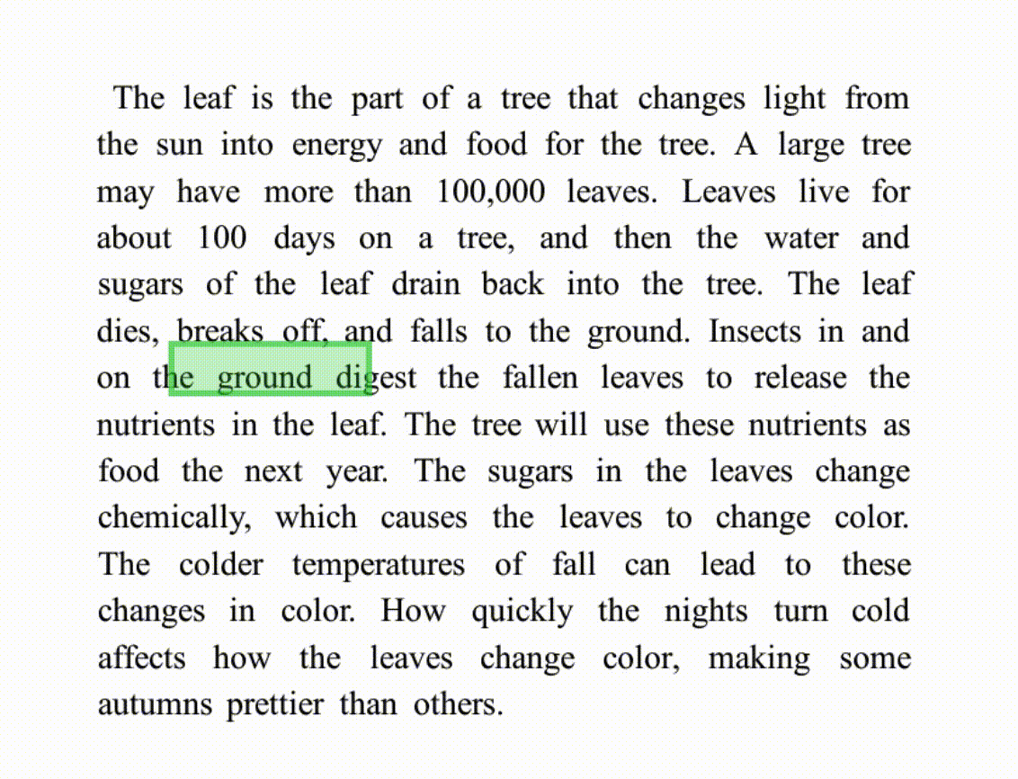 RightEye - Washington Vision Therapy Center