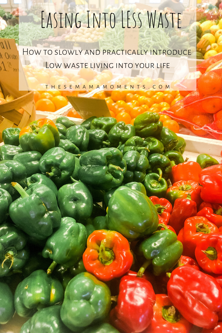 Easing into Less Waste - Waste Less, Wander More