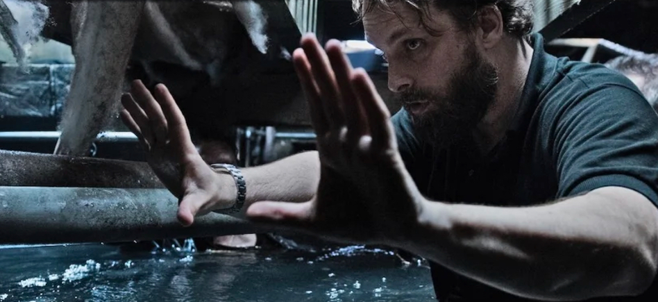 Alexandre Aja travaille sur un film interactif avec la société de ...