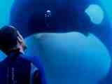The Blue Planet 2001 Watch Free Documentaries Online