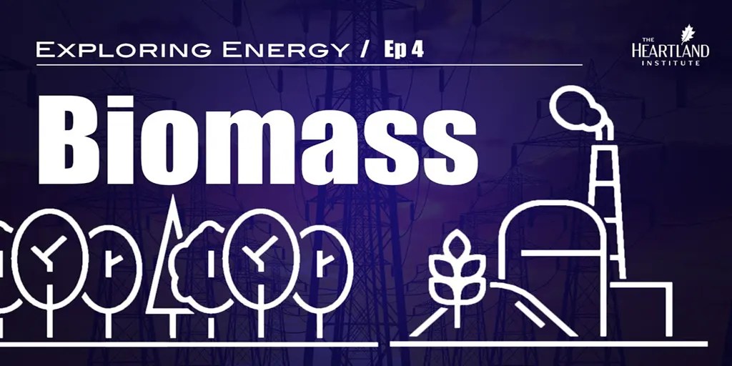 Linnea Lukin, Exploring Energy: Biomass – Watts Up With That?