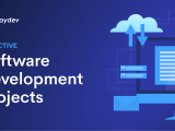 Software Development Projects