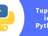 Tuple Data Structure Waytoeasylearn