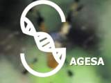 Sagesa An African Amr Genomics Network Resource Sagesa Amr Genomics