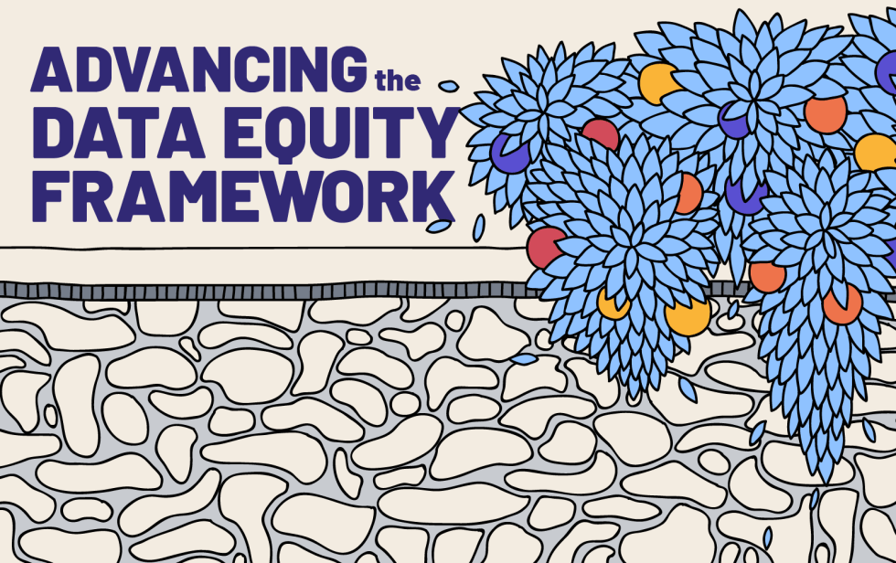 Advancing the Data Equity Framework Course - We All Count