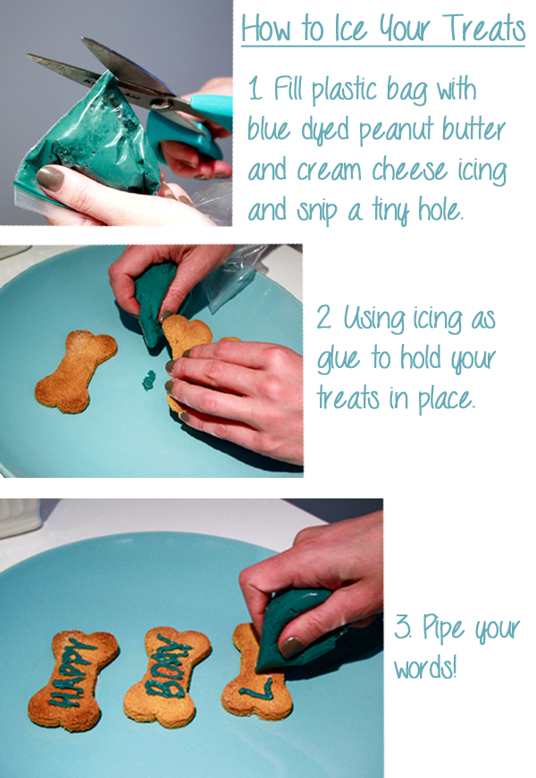 5 Ingredient Dog Treat Recipe with Special Birthday Icing - Wear Wag Repeat