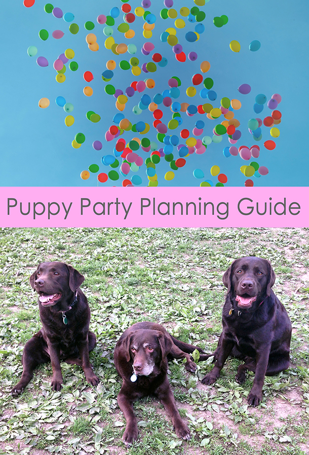 Puppy Party Planning Guide - Wear Wag Repeat
