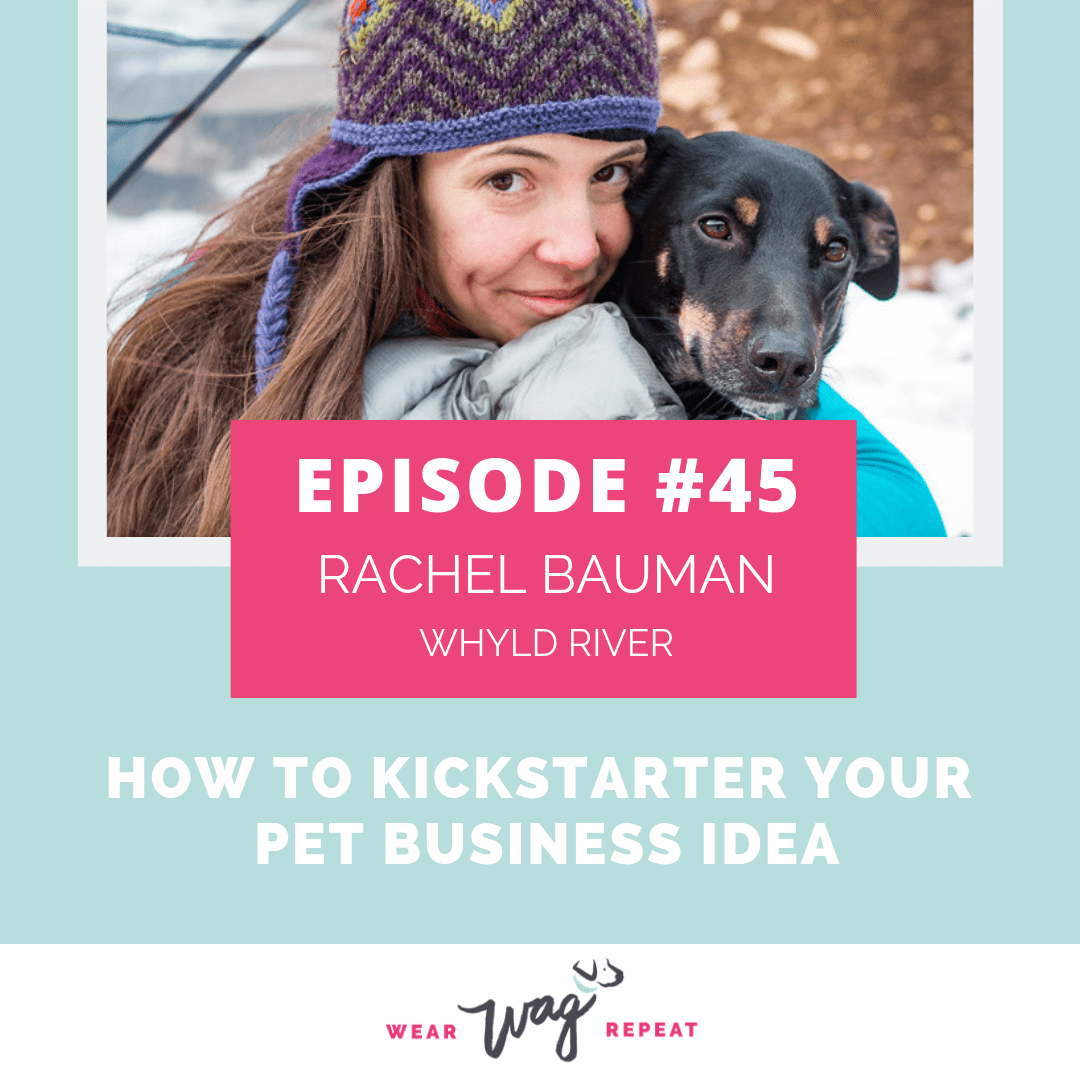 Podcast Episode 45: How to Kickstarter Your Pet Business Idea with ...