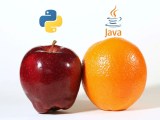 Python Vs Java Which Is The Best Language Weassemble