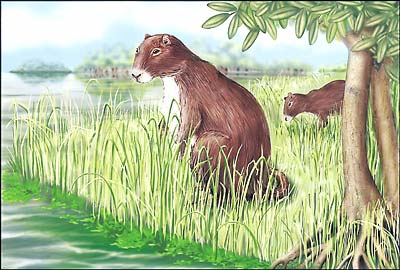 And earlier this century… | Neil's Commonplace Book