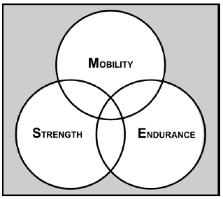 Components - Army PRT