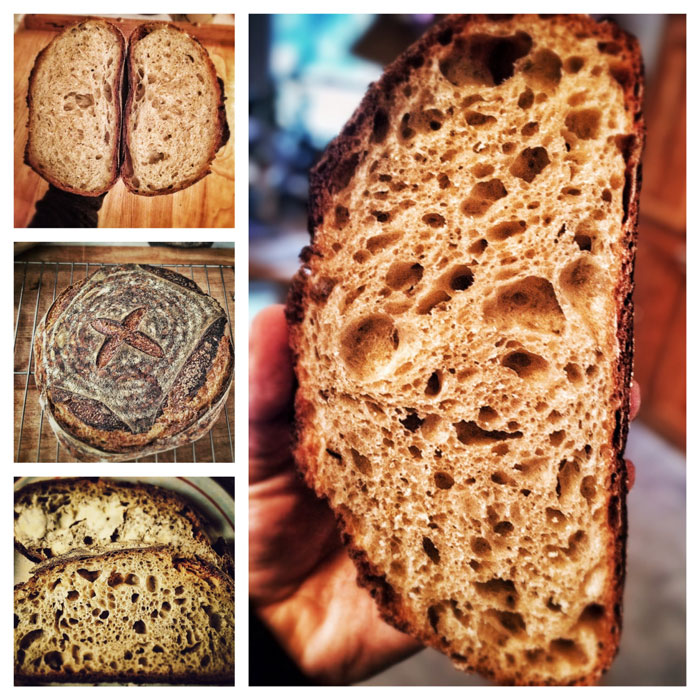 About - Trevor Jay Wilson