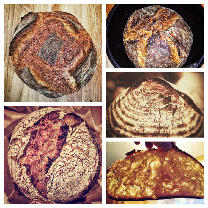 About - Trevor Jay Wilson