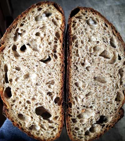 How to Make 50% Whole Wheat Sourdough [Video] - Trevor Jay Wilson