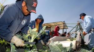 NFJP → SER Corporation 2023