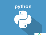 Python Course Web Code Education